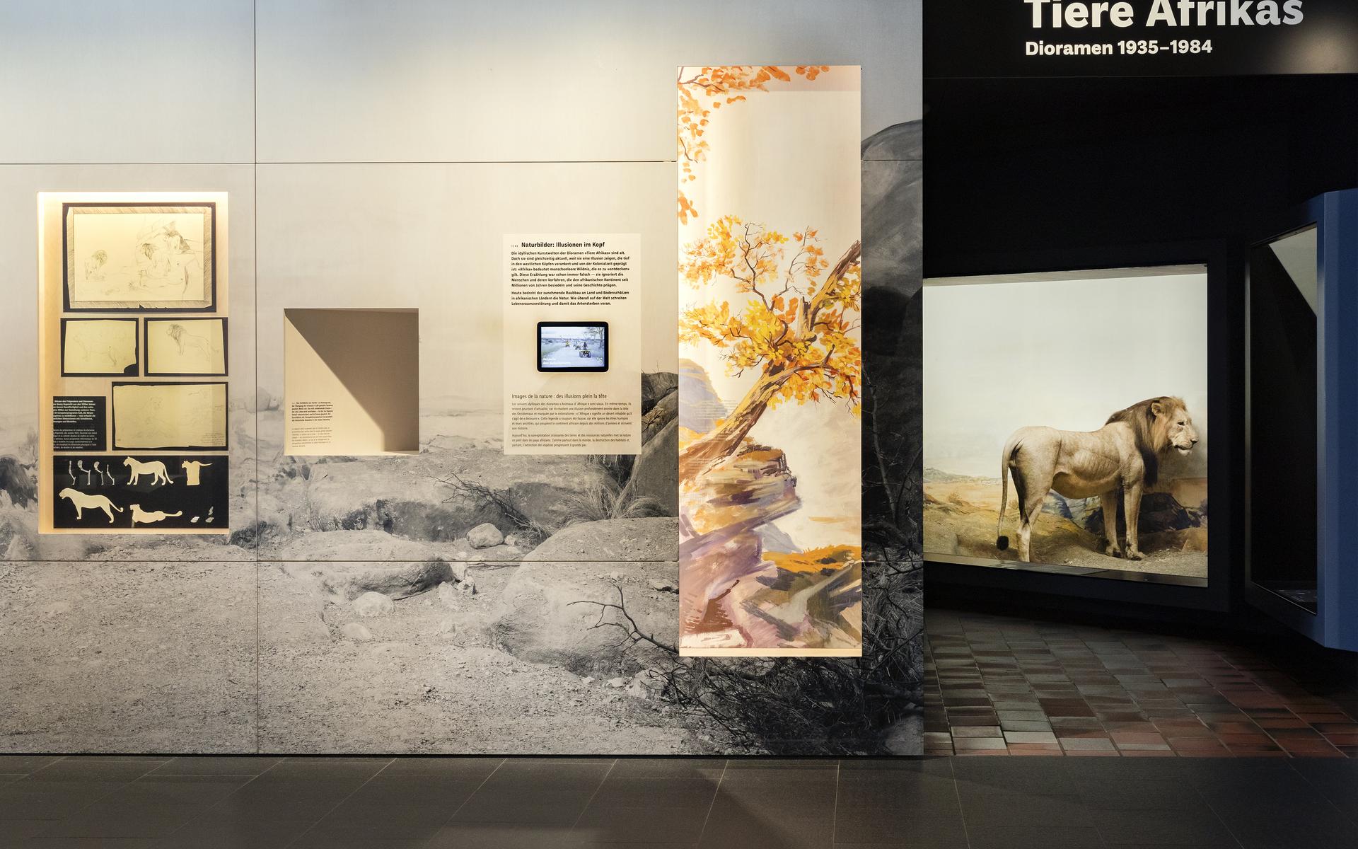 Natural History Museum of Bern